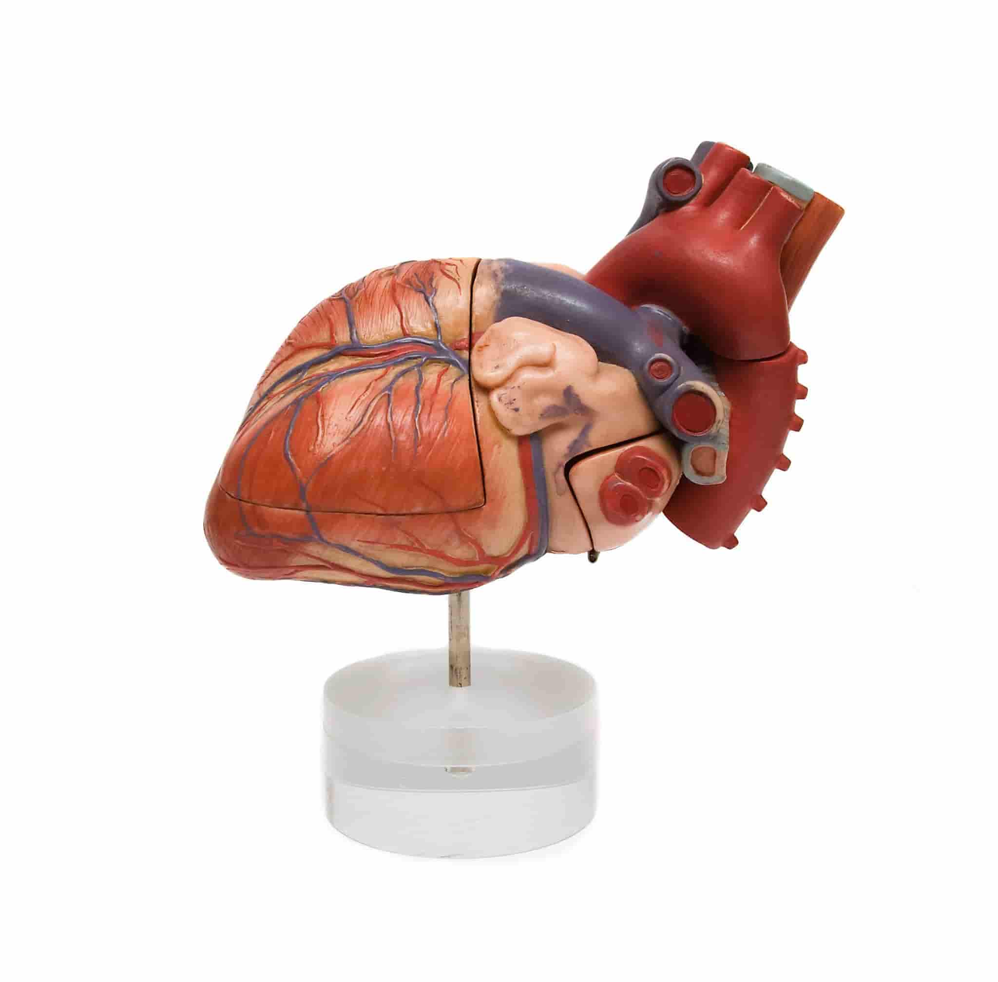 Autoclaves: An Effective Bargain for Biomedical Wastes treatment